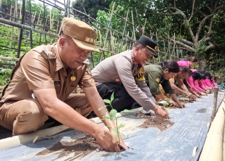 Tanam dan Panen Usai Launching P2L Bersama Mabes Polri, Polsek Ndona ...