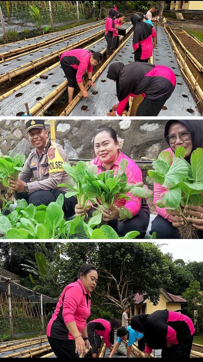 Panen Hasil P2L; Bhayangkari Ndona Dukung Ketersediaan Pangan dan MBG ...